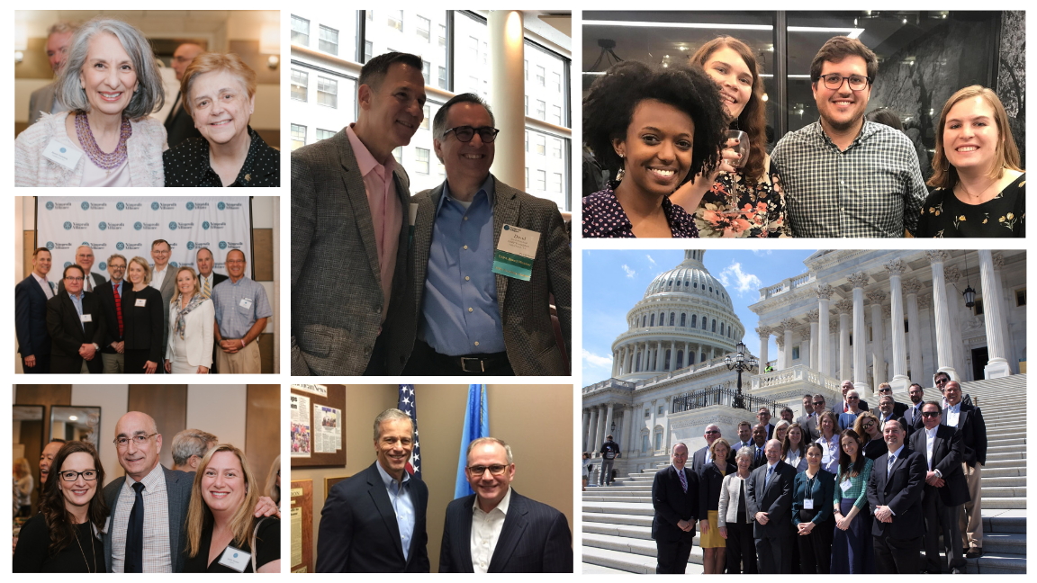 Happy 1st Birthday, TNPA! (If you thought our first 12 months were fast ...