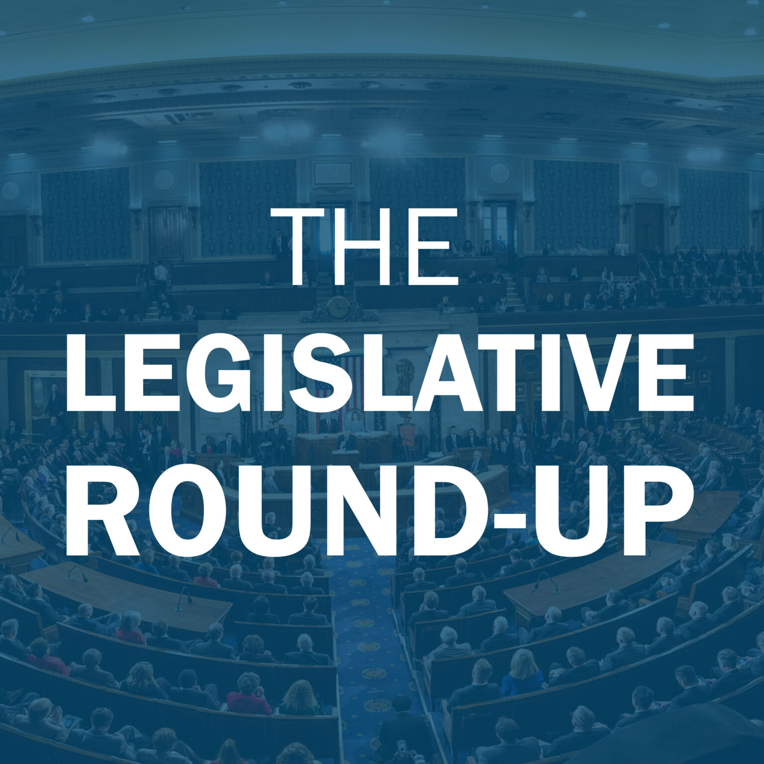 Congressional Spotlight: Senator Ted Budd (R-NC)